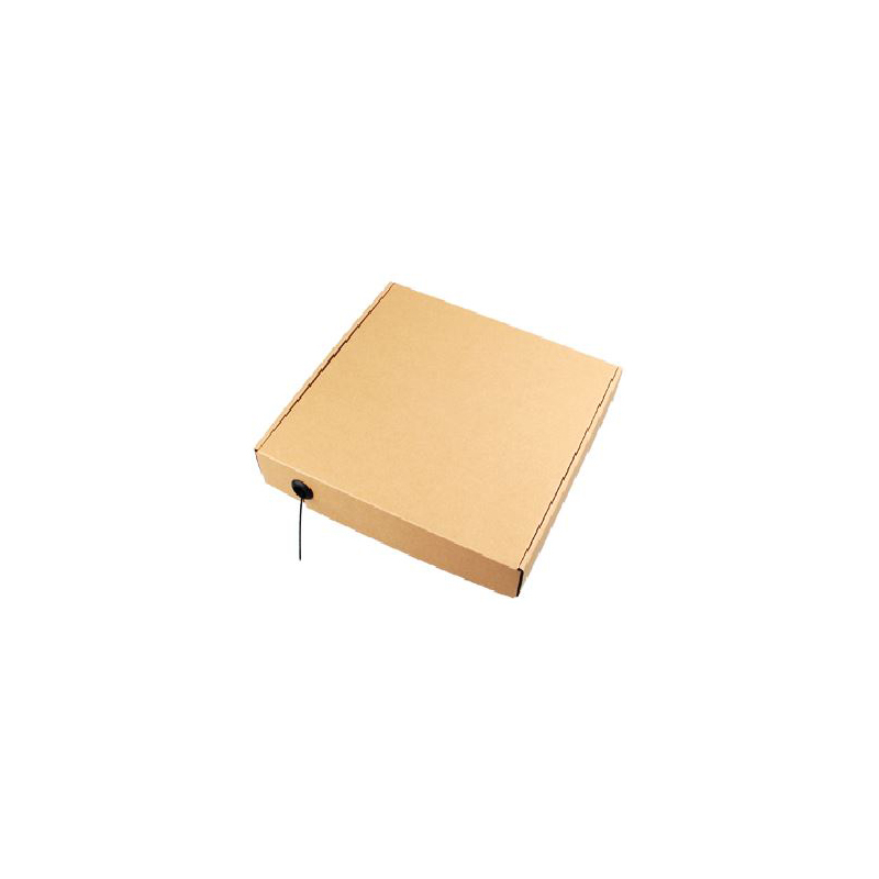 Pizza Box | Micos Telcom